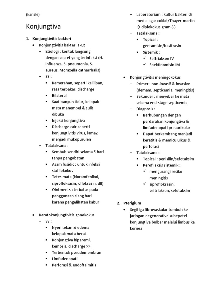 Kanski | PDF