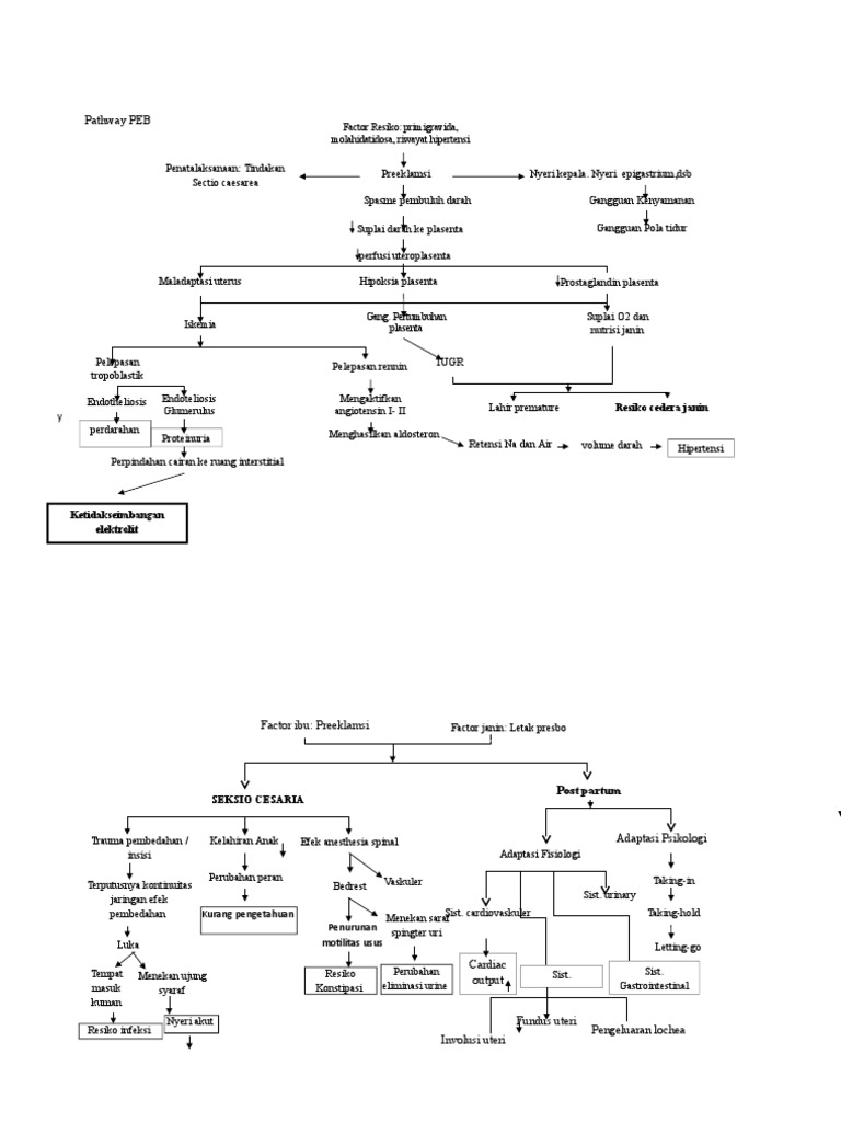 Pathway PEB | PDF | Female Mammals | Women's Health