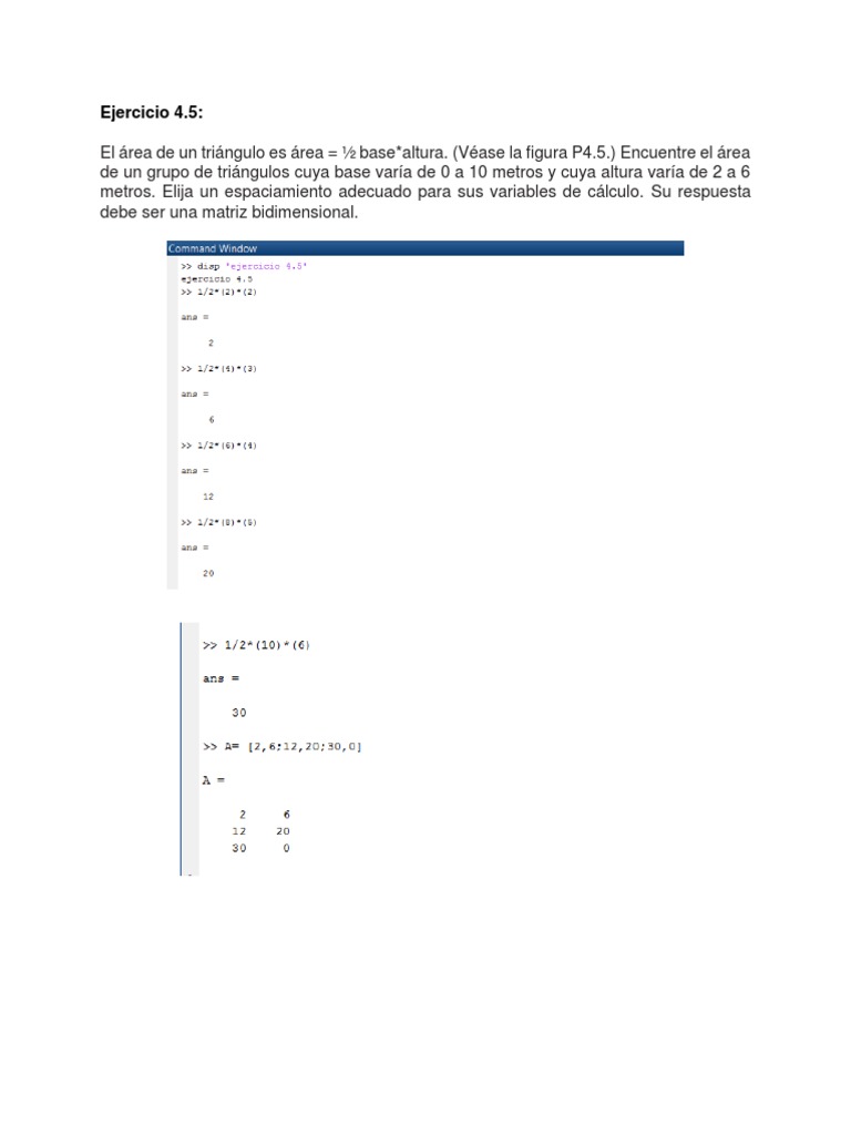 Ejercicios Del Capitulo 4 de Matlab | PDF | Matriz (Matemáticas) | Gases