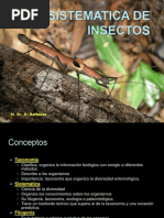 Evolución de Insectos: Cronología y Origen | PDF | Insectos | Escala de ...