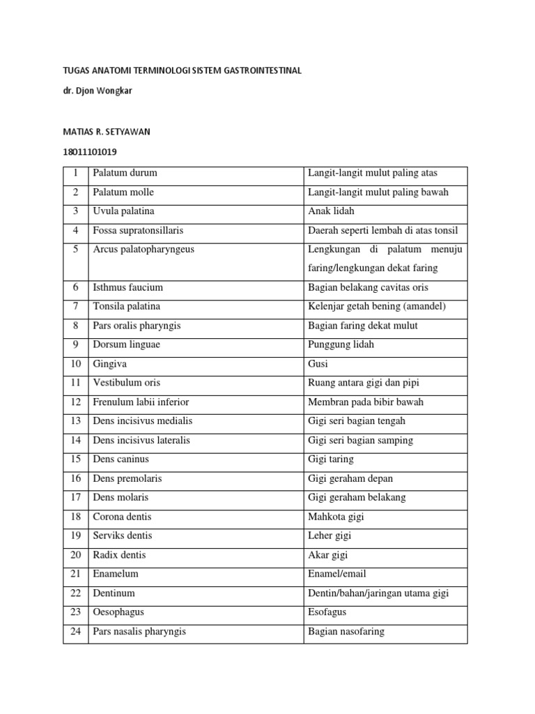 Terminologi ANATOMI | PDF