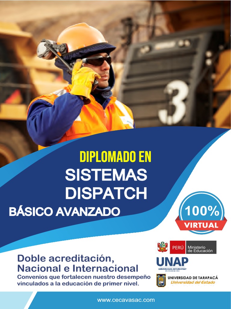 Diplomado Virtual en Sistema Dispatch | PDF | Informática y tecnología de la información | Business