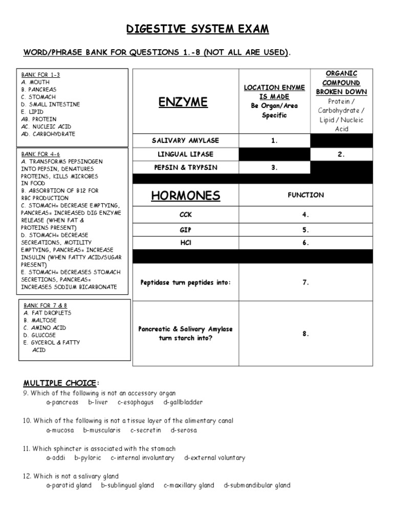 Individual Performance Commitment and Review Form | PDF | Stomach ...