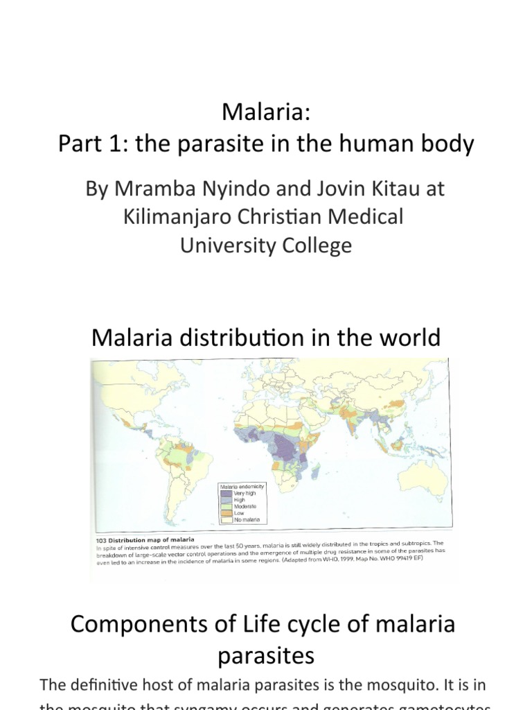Malaria: Part 1: The Parasite in The Human Body | PDF | Plasmodium ...