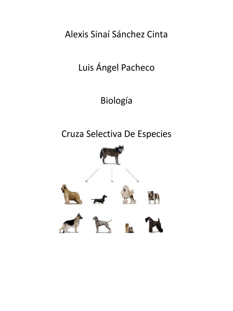 La complejidad de la cría selectiva: cómo la selección de un solo rasgo ...