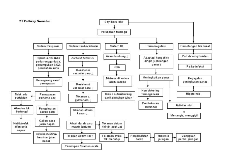 2.7 Pathway Neonatus | PDF