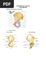 PELVIMETRIA | PDF | Pelvis | Sistema esquelético