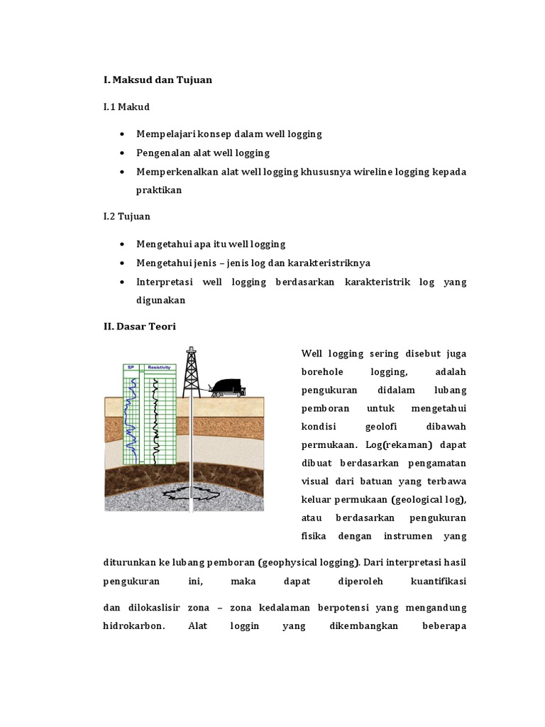 Laporan Well Logging | PDF | Ilmu Sosial | Sains & Matematika