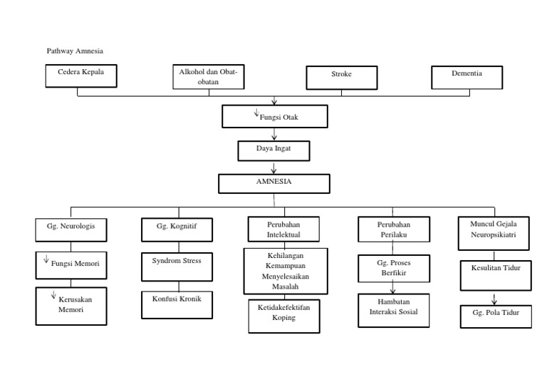 Pathway Amnesia | PDF