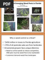 Tree Identification Key Printable: Click Here To Download | PDF ...