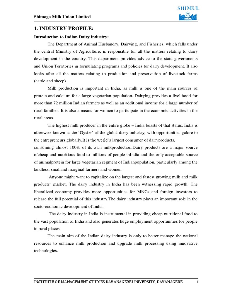 Nivi Project | PDF | Research Design | Expense