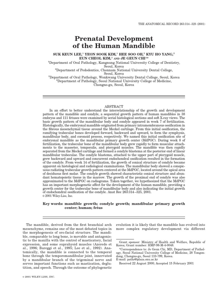 Lee Et Al-2001-The Anatomical Record | PDF | Bone | Musculoskeletal System