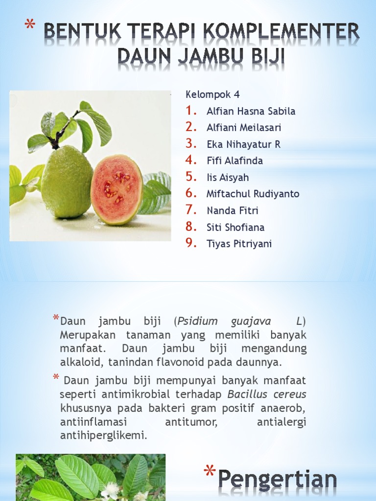 MANFAAT DAUN JAMBU BIJI | PDF