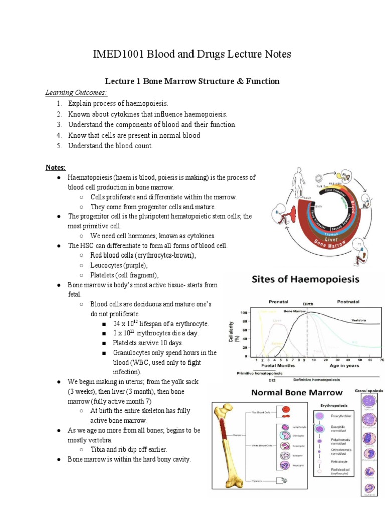 Blood and Drugs Medicine Notes | PDF | Coagulation | Platelet