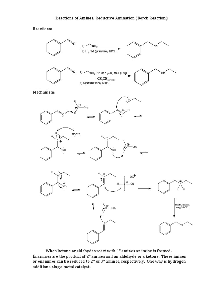 05 Reductive Amination | PDF | Amine | Amide