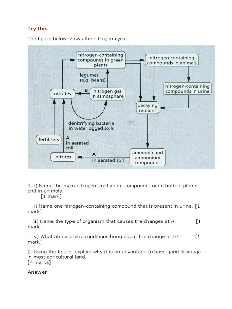 Understanding the Nitrogen Cycle in Agriculture | PDF | Home & Garden ...