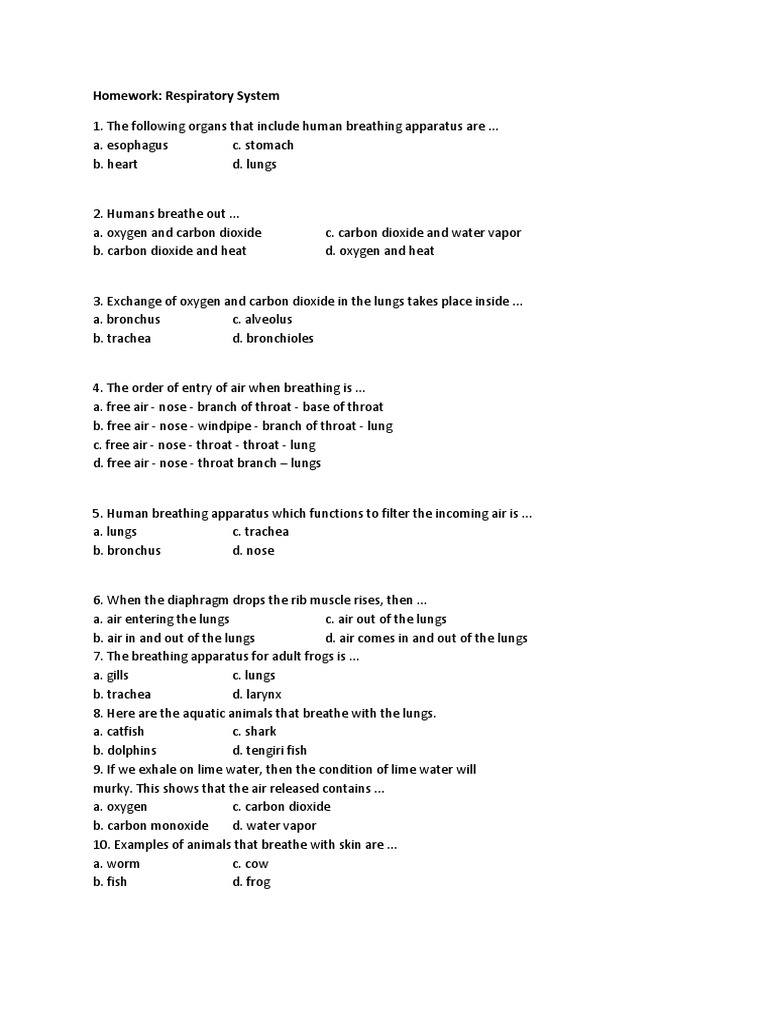 Homework: Respiratory System | PDF