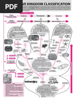 Ch.1 Lesson 2 Key Concept Builder WITH ANSWERS | PDF | Taxa | Organisms