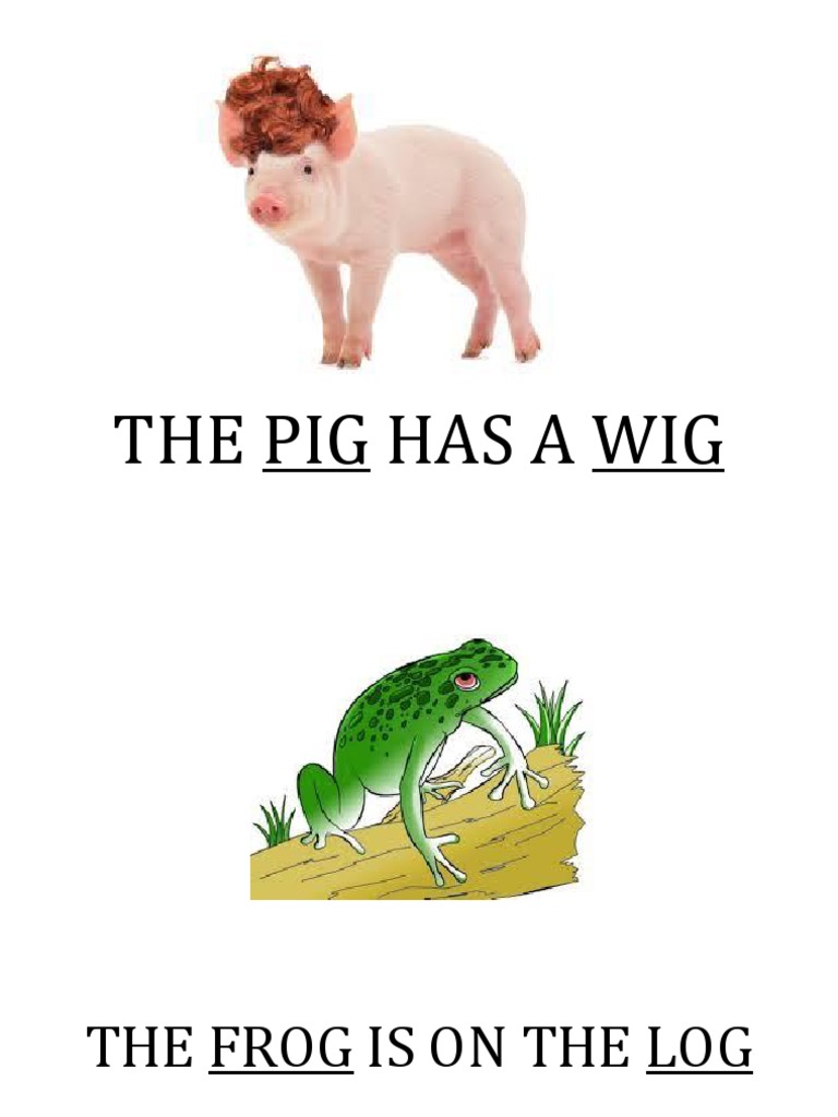 The Pig Has A Wig | PDF