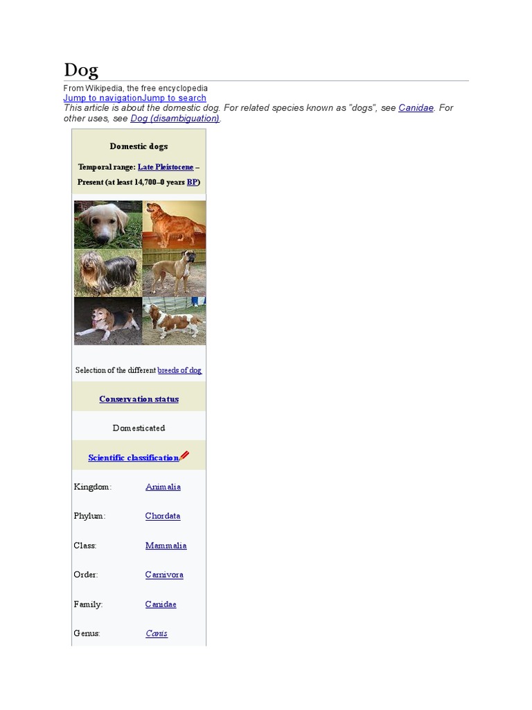 GF Sjdghas - KHG Urg .SJFG | PDF | Dogs | Canis