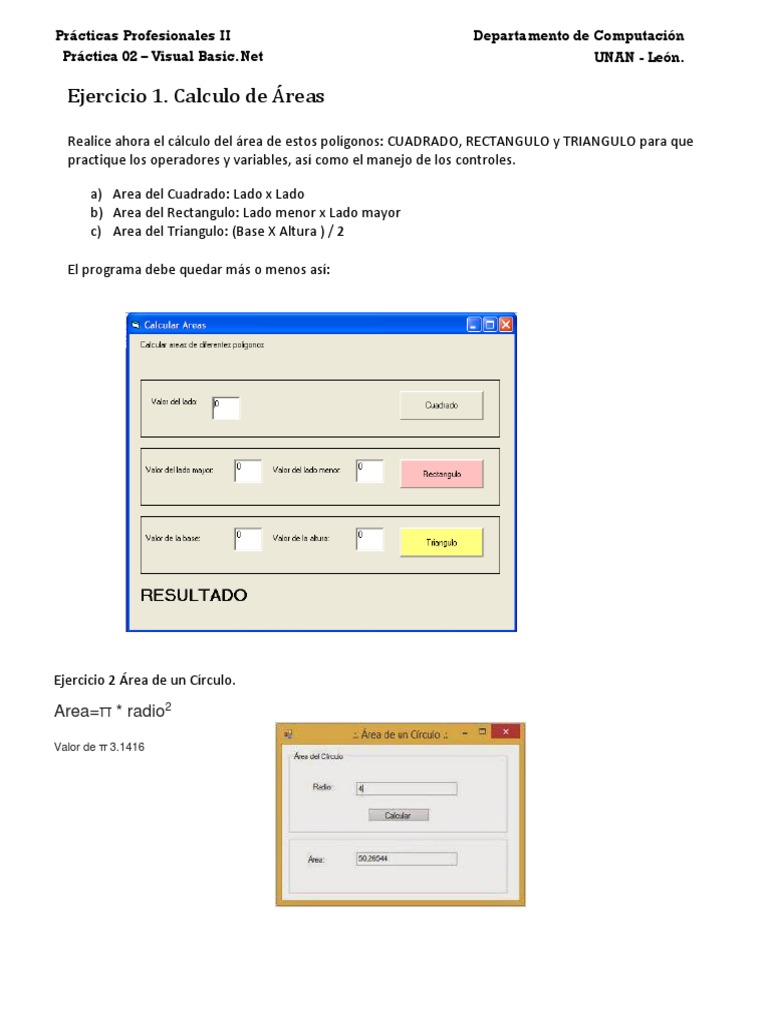 Práctica Visual Basic Net | PDF