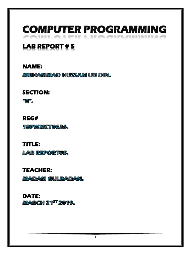 Computer Programming: Lab Report # 5 | PDF | Control Flow | Computer ...