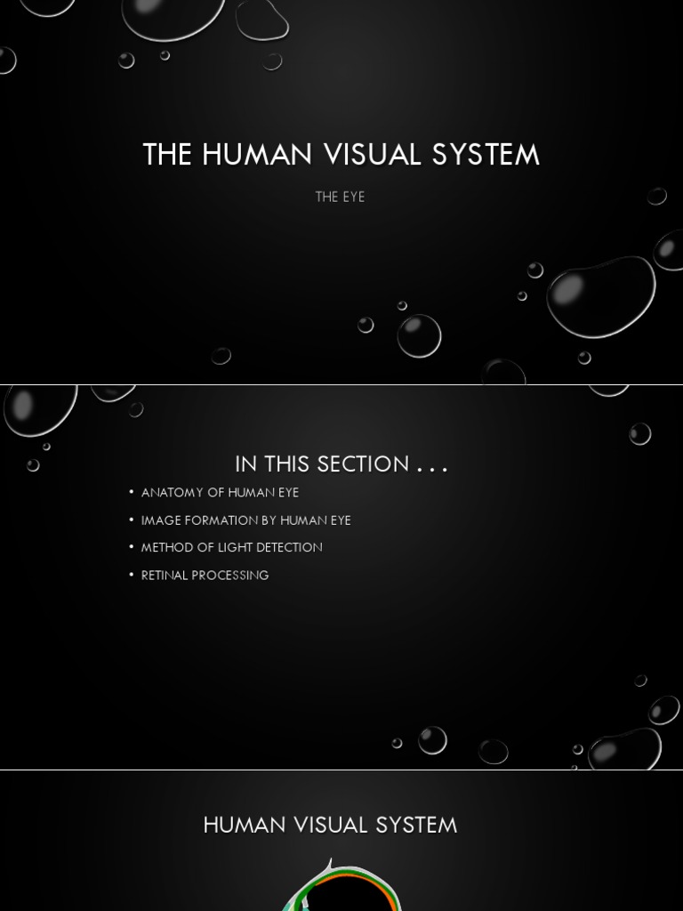 Lecture1-Human Eye System | PDF | Human Eye | Retina
