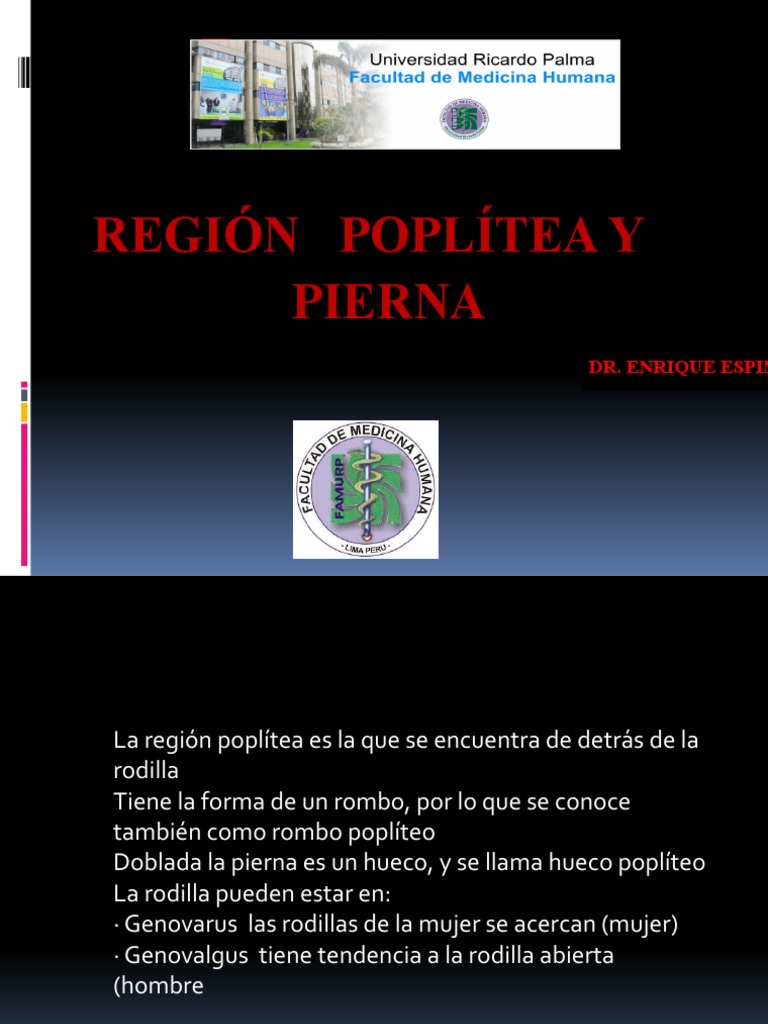 Región Poplitea y Pierna | PDF | Pie | Rodilla