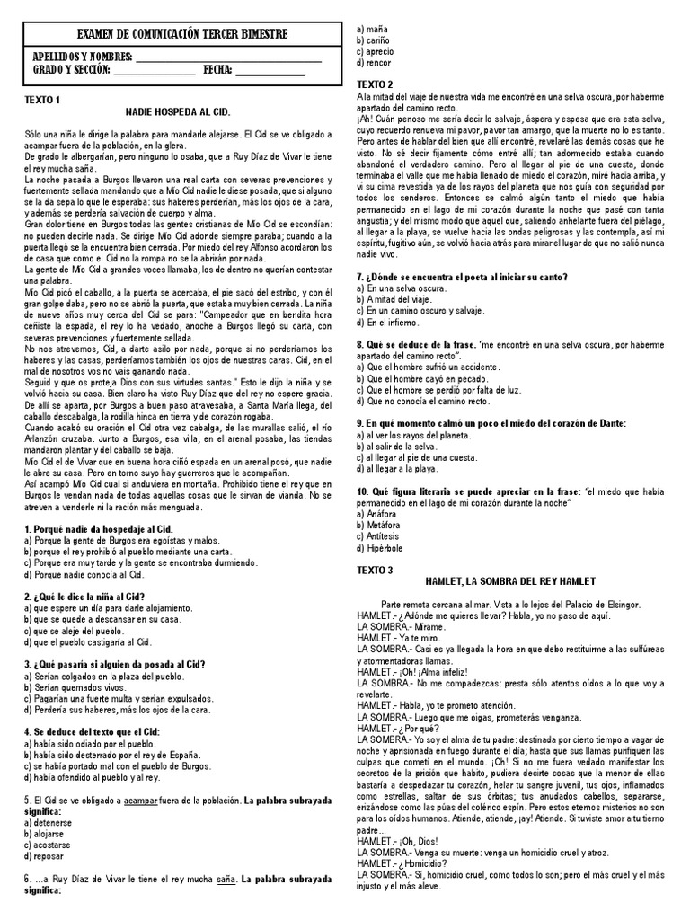 Prueba de Comprension 2018 | PDF | Aldea | Servicio de redes sociales