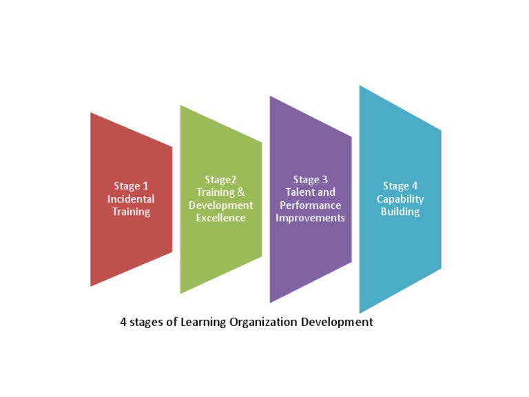 4 Stages of Learning Organization Development | PDF | Self-Improvement