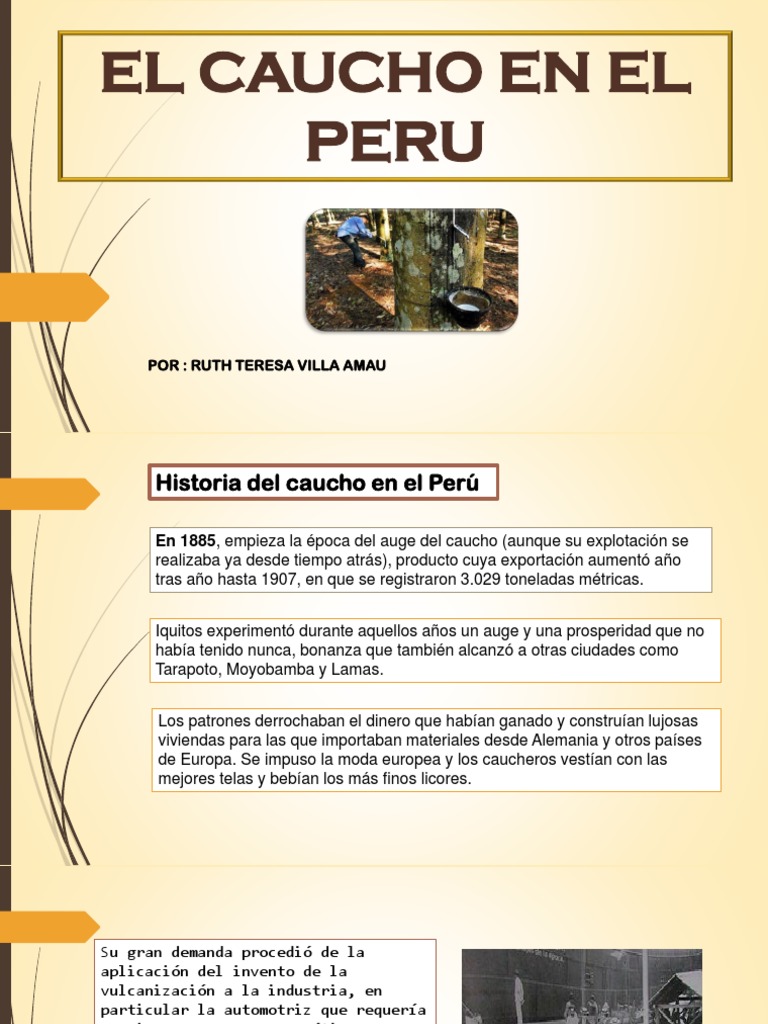 Auge y explotación del caucho en Perú | PDF | Caucho natural | Perú