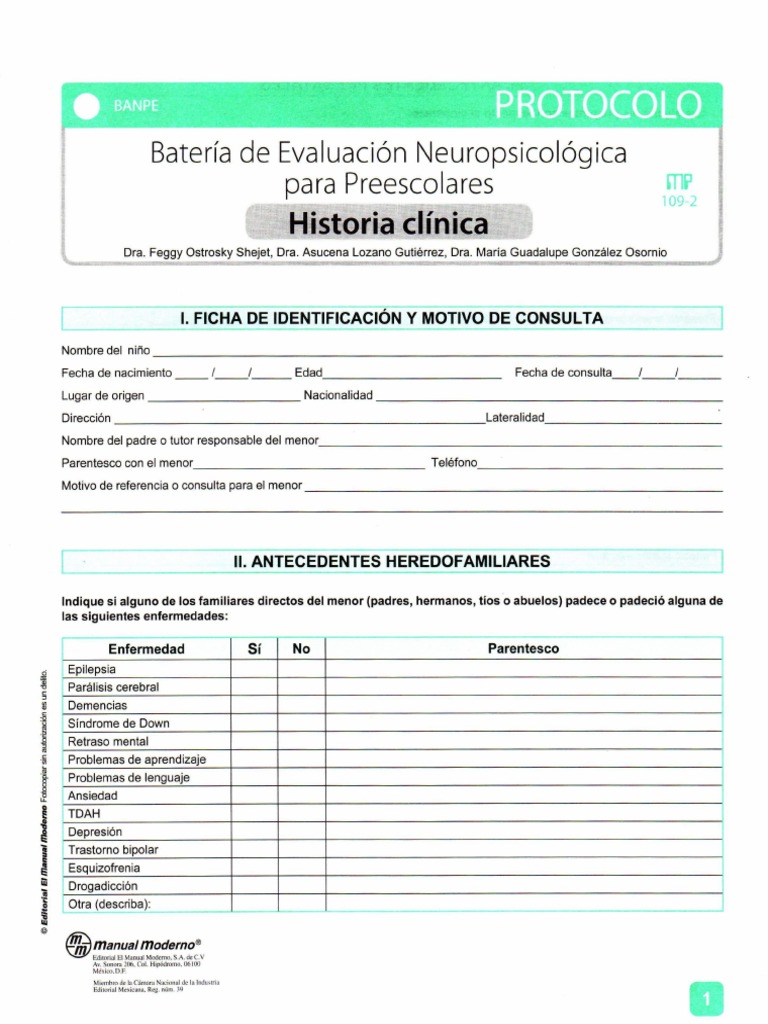 BANPE Protocolo PDF | PDF