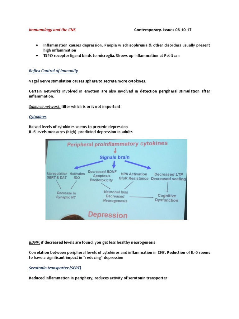 Immune System and Depression | PDF | Inflammation | Cytokine