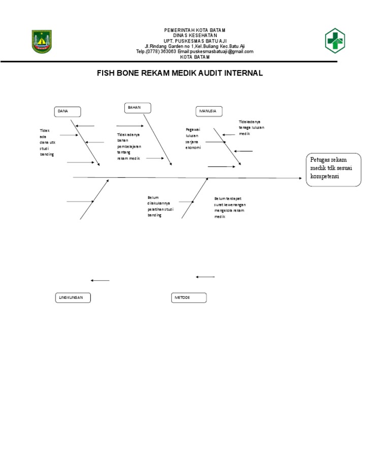 Fish Bone Audit Rekam Medik New | PDF