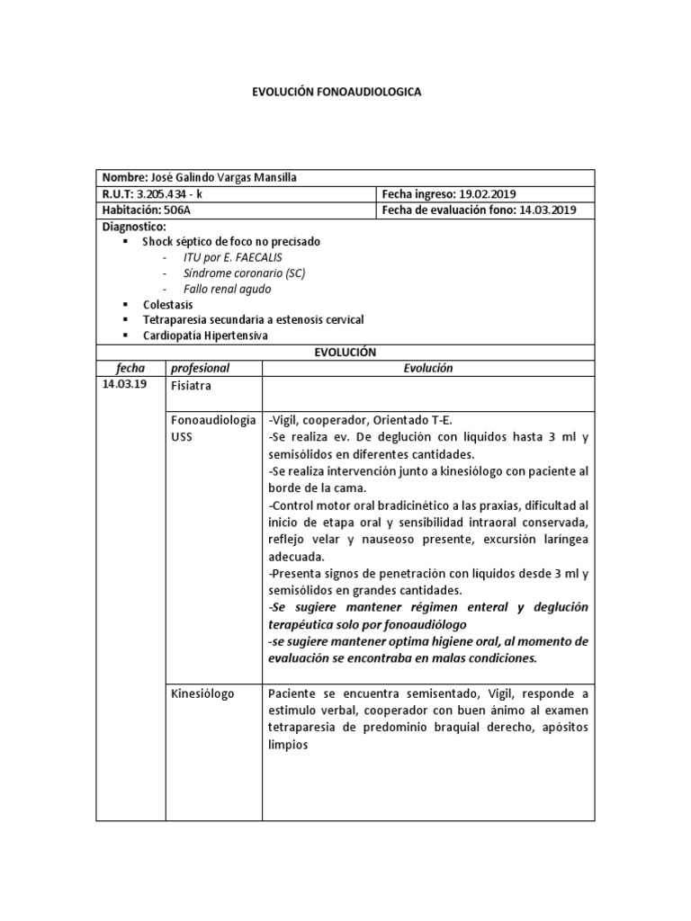 Informe de Evolución de Paciente de Larga Estadia | PDF ...