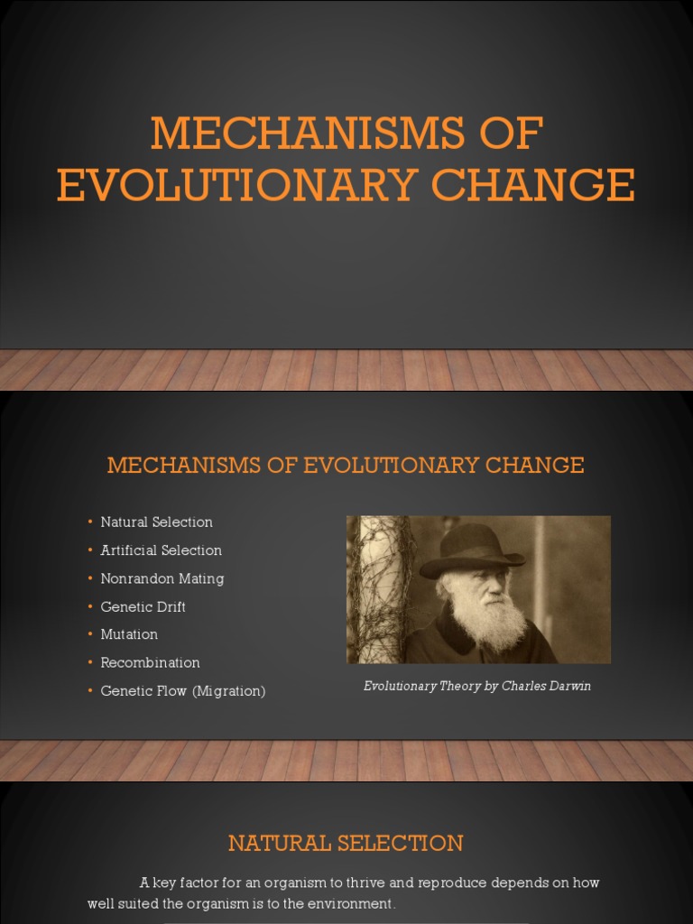 Mechanisms of Evolutionary Change | PDF | Natural Selection | Evolution