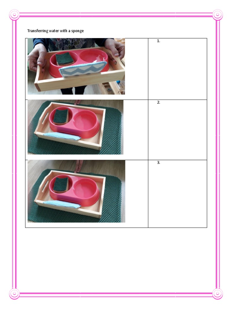 Transferring Water With A Sponge 1 | PDF