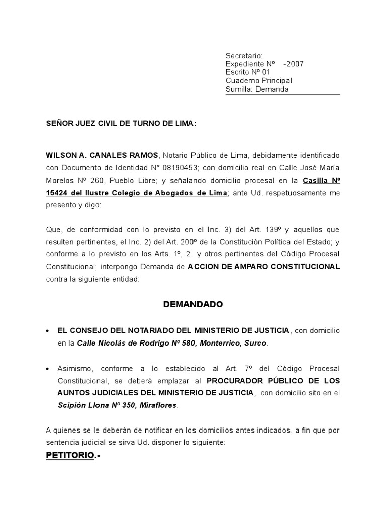 Modelo de Demanda | PDF | Debido al proceso | Derecho Constitucional