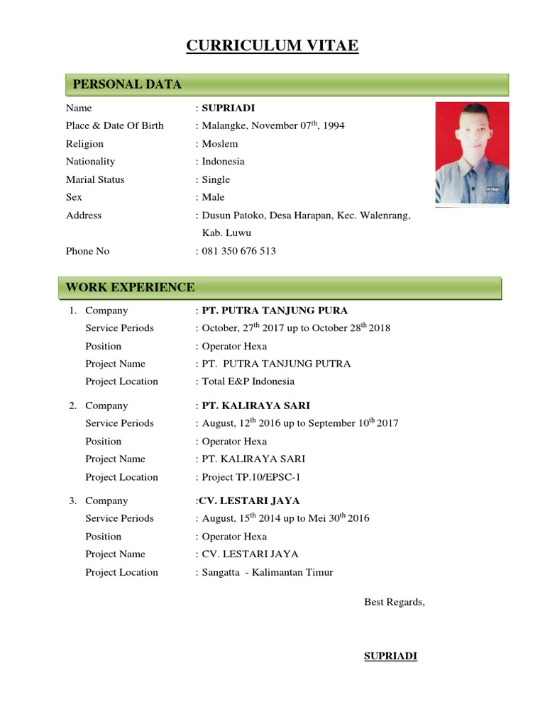 Curriculum Vitae: Personal Data | PDF