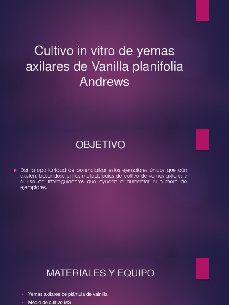Cultivo in Vitro de Yemas Axilares de Vanilla | PDF | Plantas ...