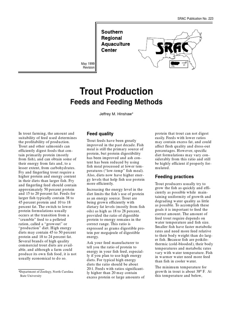 Trout Feed Method | PDF | Rainbow Trout | Fish