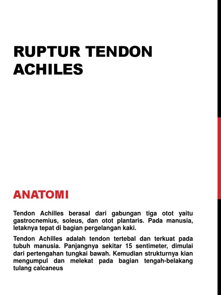 Ruptur Tendon Achilles | PDF