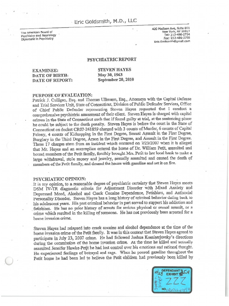 DR - Eric Goldsmith's Report On Hayes | PDF