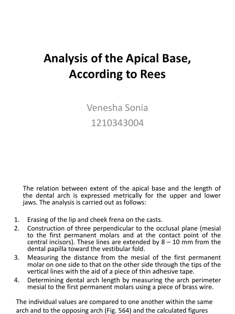 Analysis of The Apical Base, According To Rees: Venesha Sonia ...