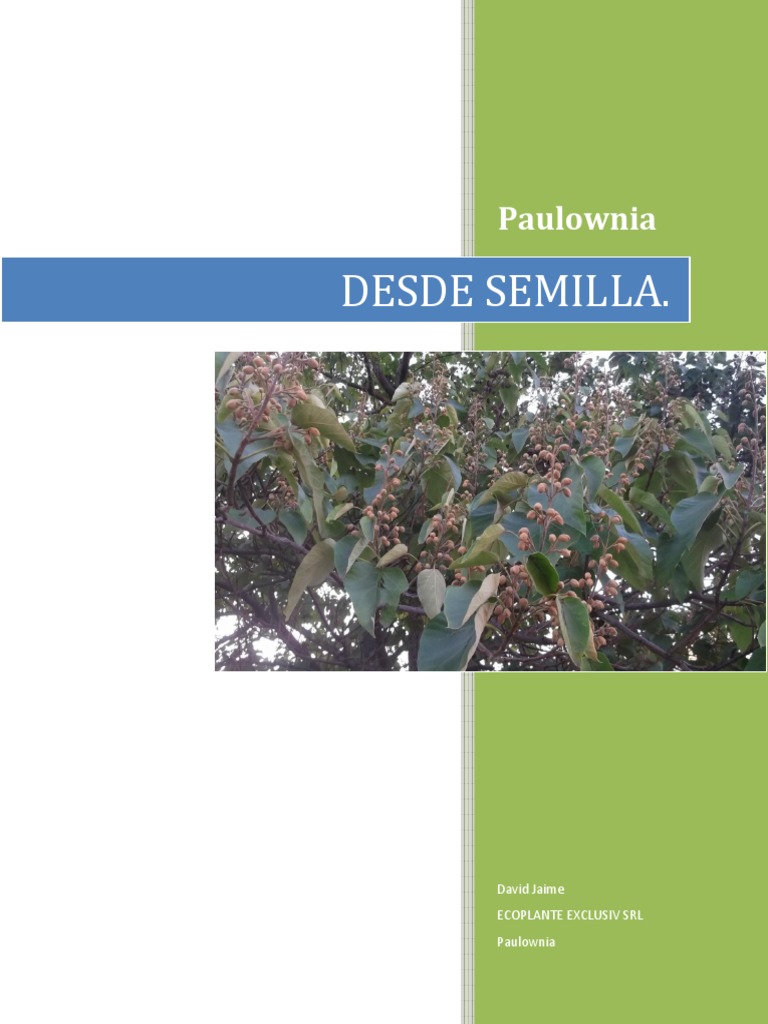Desde Semilla - (Justificacion, Germinacion Repicado y Seleccion de ...