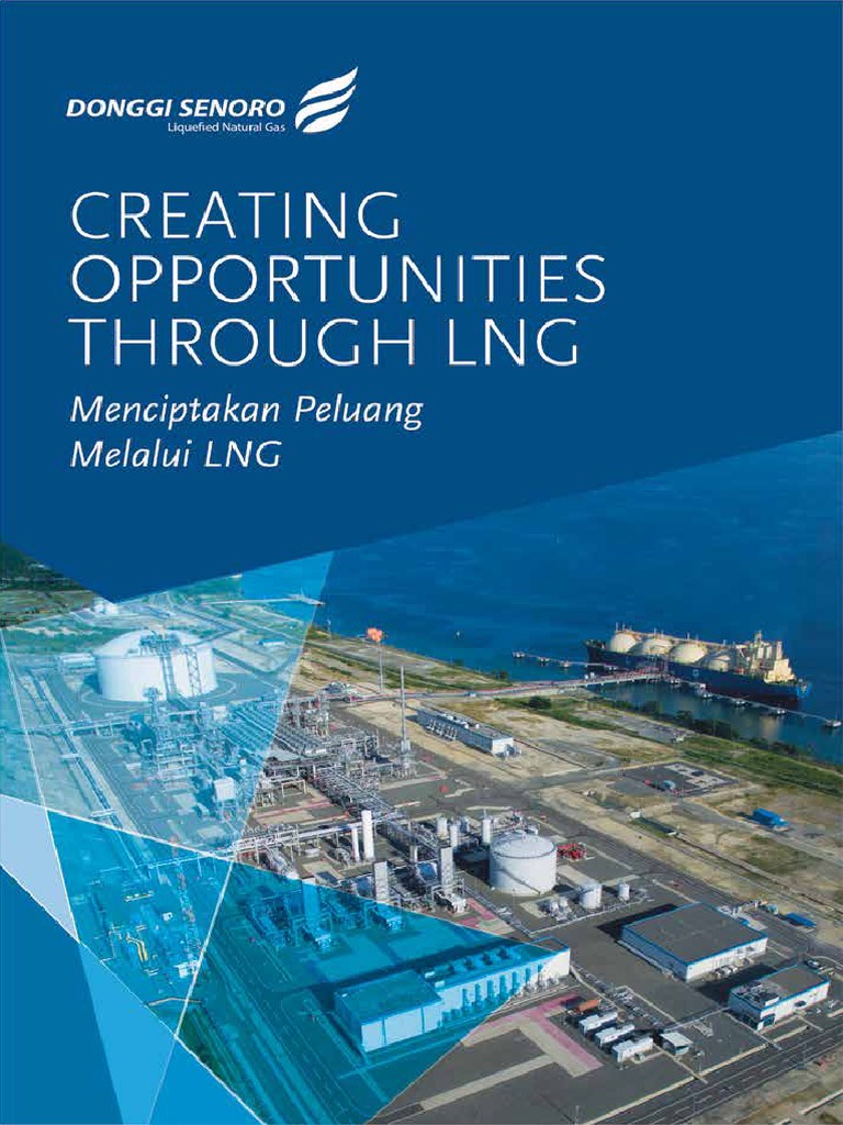 Donggi Senoro LNG Company Overview | PDF | Liquefied Natural Gas | Fuel Gas