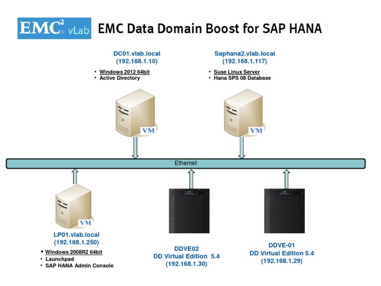 Lab2. EMC Data Domain Boost For SAP HANA - Diagram | PDF