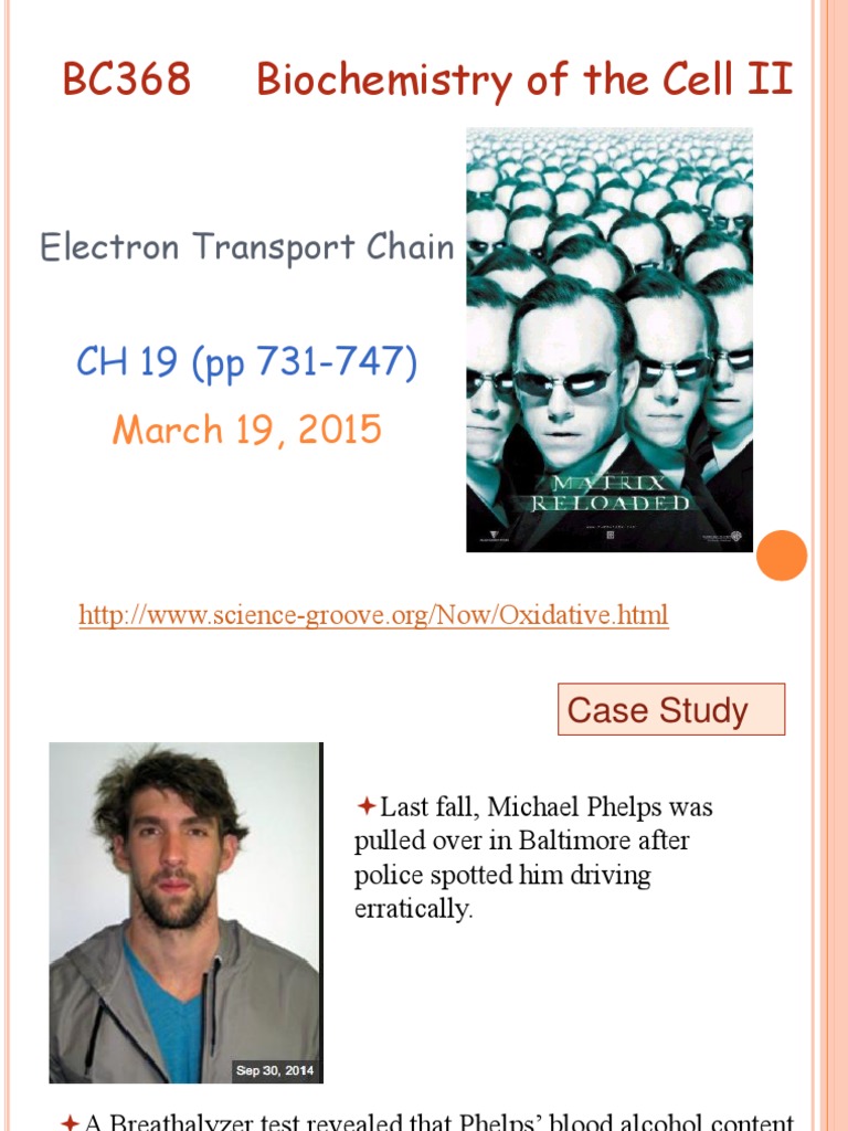 BC368 Biochemistry of The Cell II: CH 19 (PP 731-747) | Download Free PDF | Electron Transport ...
