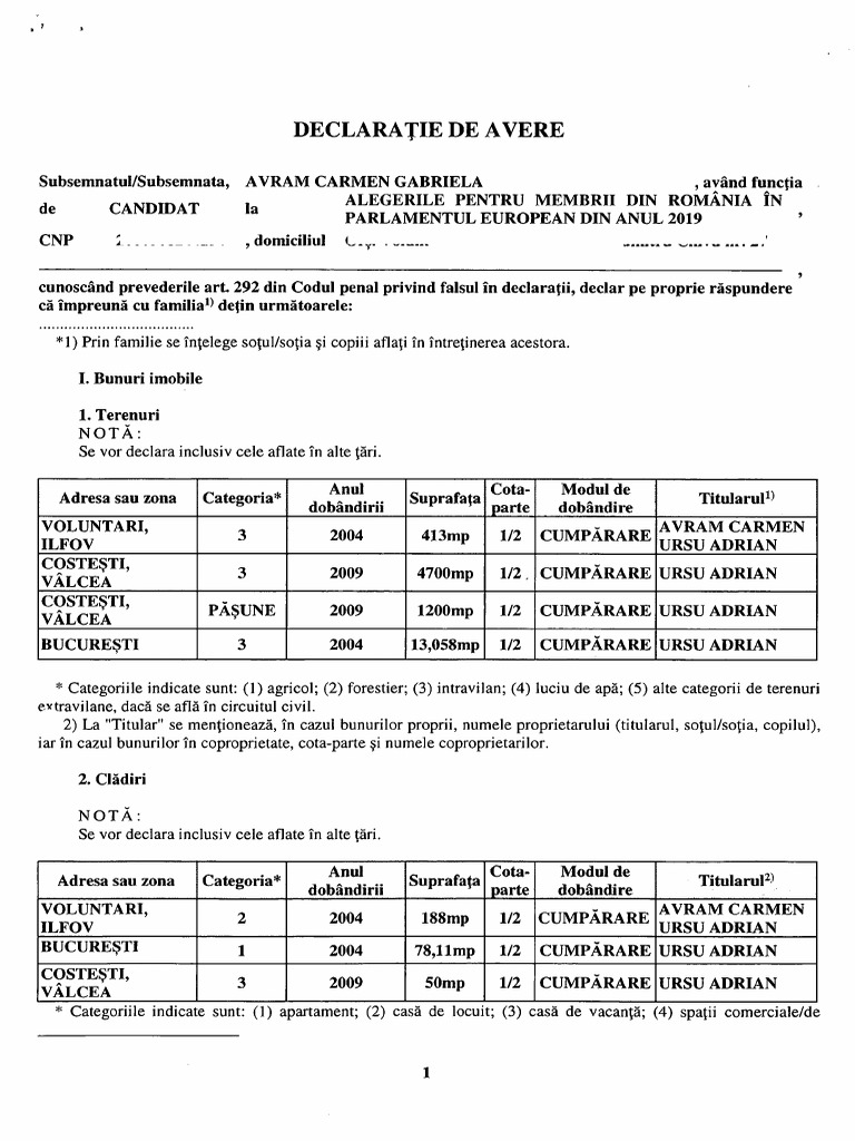 CArmen AVRAM Declaratie de Avere | PDF
