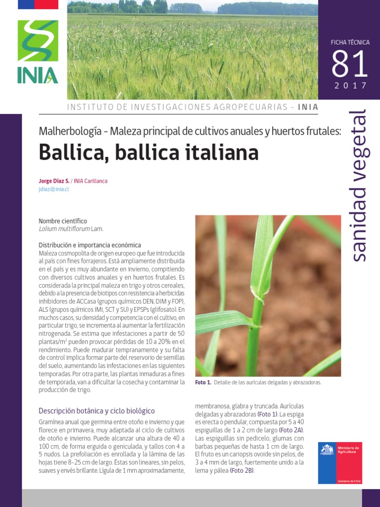 Ficha 81 Ballica, Ballica Italiana | PDF | Suelo | Ecología